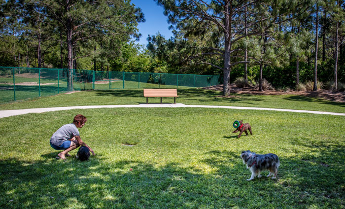 Rockwood & Dog Park | Citrus Hills